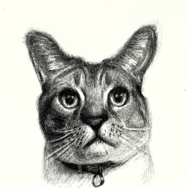 Custom Pet Drawing - Etsy
