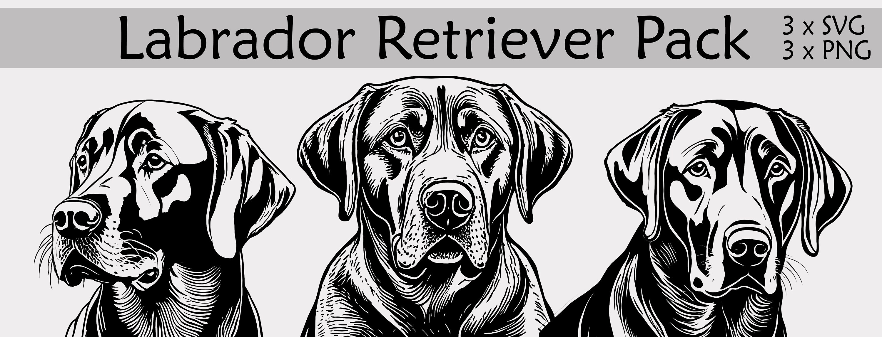 Labrador Retriever Pack 3 X SVG, 3 X PNG - Perfect for Engraving ...