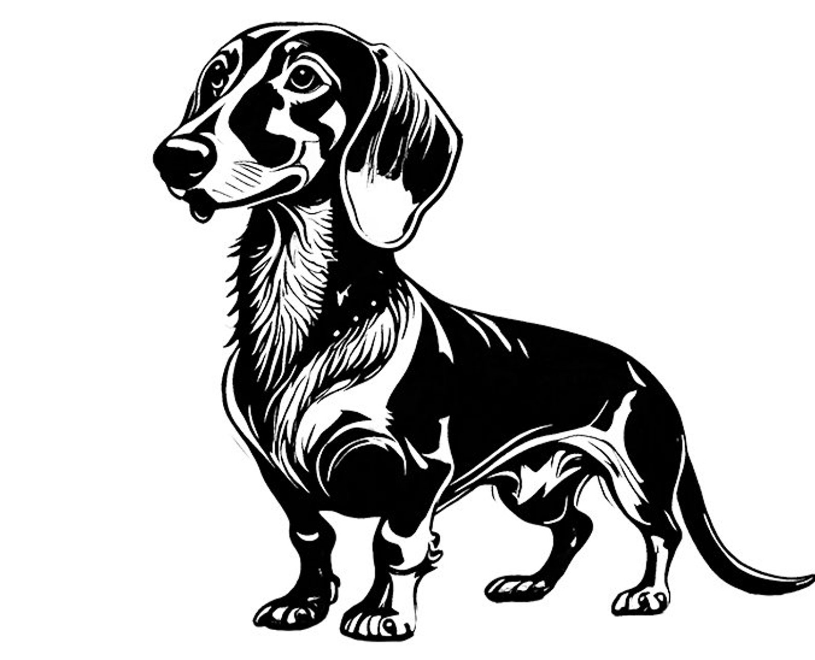 Dachshund Black and White Vector Type Image SVG - Perfect for Laser ...