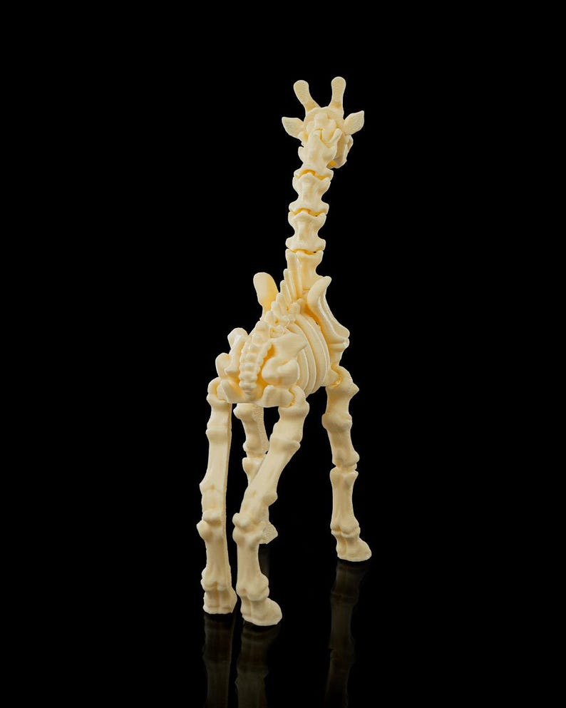 Articulated Skeleton Giraffe 3d Printed - Etsy