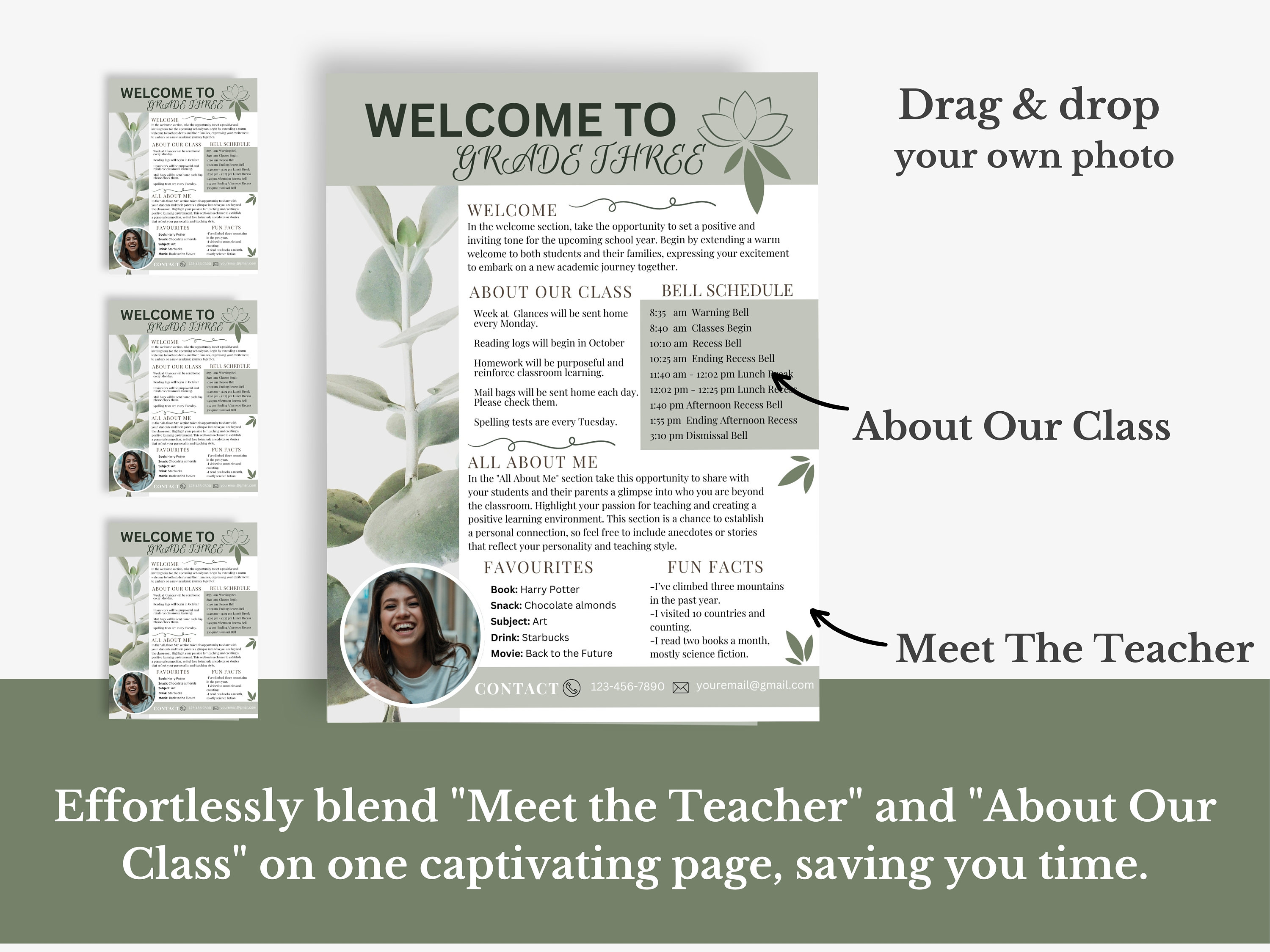 Class Snapshot One Page Meet the Teacher and Class Overview, Teacher ...