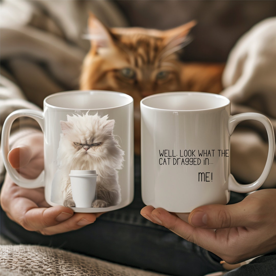 Funny Grumpy Cat Mug, Himalayan Cat, Cat Mug, Mother's Day Gift, Cat ...