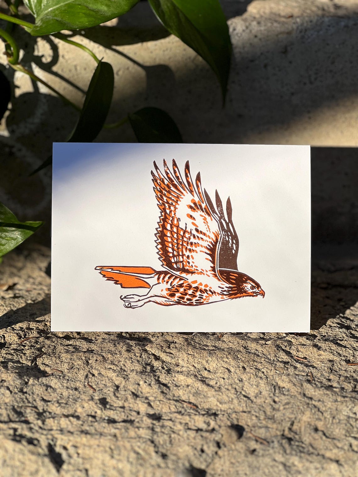 Red-tailed Hawk Linocut Greeting Card - Etsy