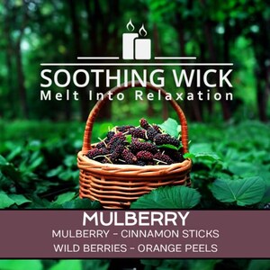 Mulberry Scented Candle: Cinnamon, Wild Berries & Orange Peel - 9oz - Etsy