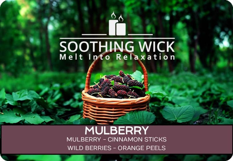 Mulberry Scented Candle: Cinnamon, Wild Berries & Orange Peel - 9oz - Etsy