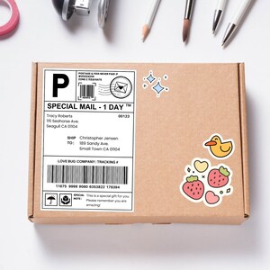 Editable Prank Shipping Label Template: Fun Gift Box Label (4x6 ...