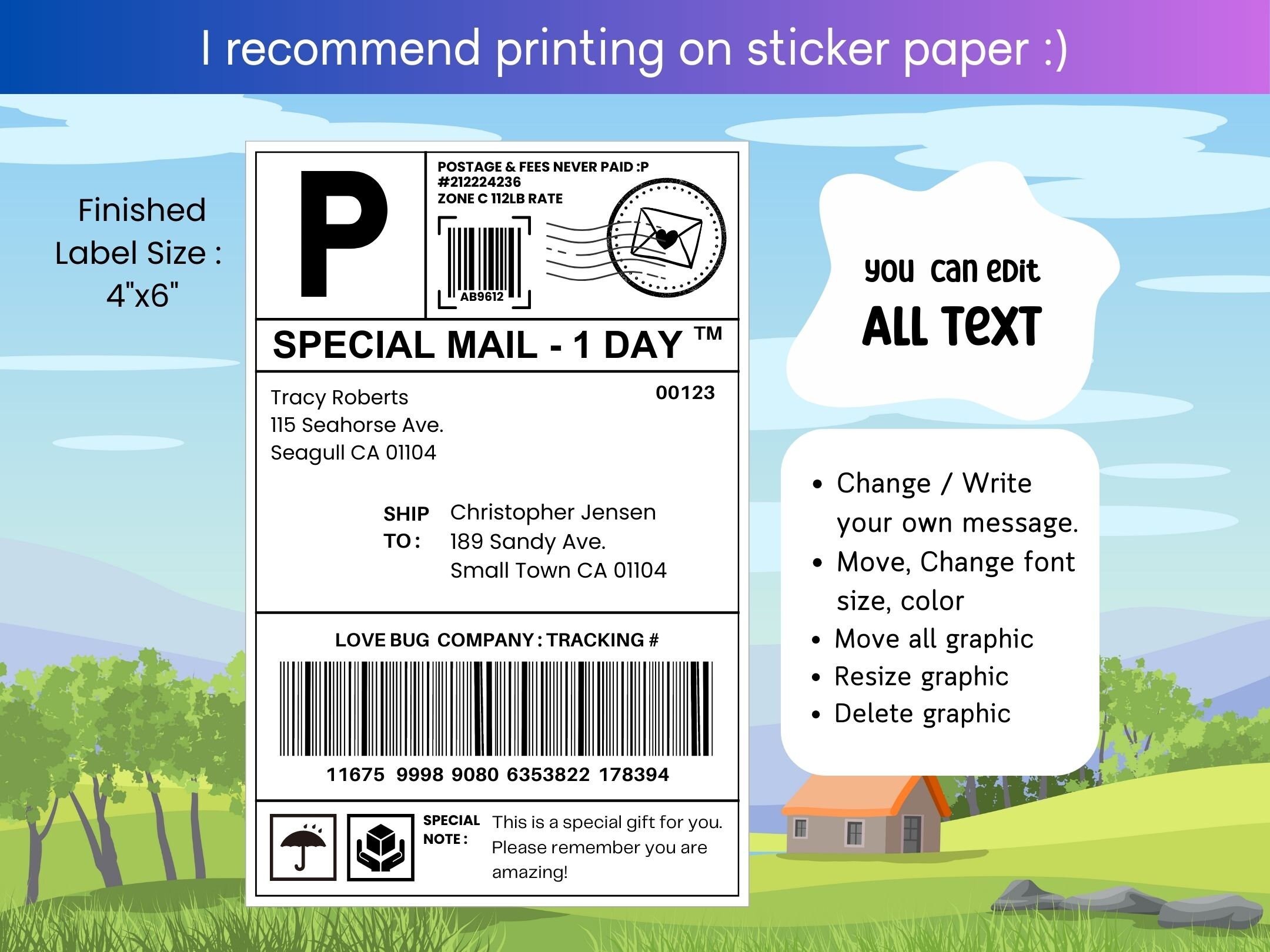 Editable Prank Shipping Label Template: Fun Gift Box Label (4x6 ...