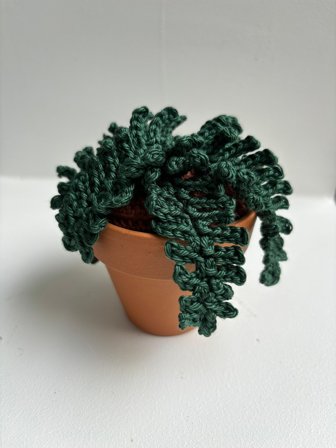 Crocheted Plant - 'fern' - Etsy