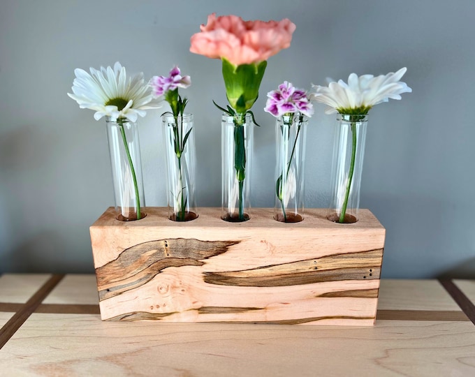 Black Walnut Propagation Set of 3 / Hydroponic Rooting Vases / Test ...