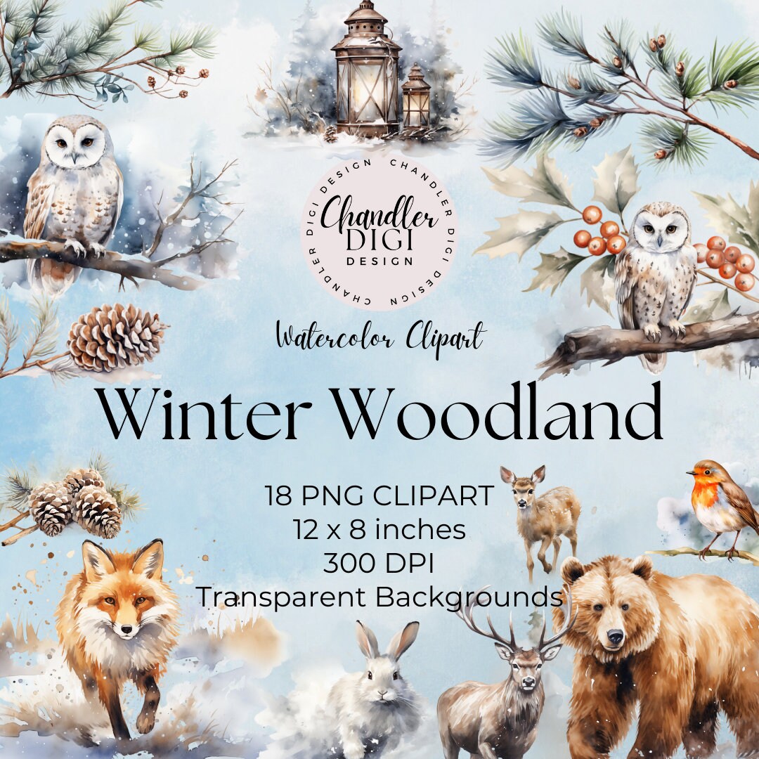 Woodland Creatures Winter Animals Clipart | Watercolor Style Clipart ...