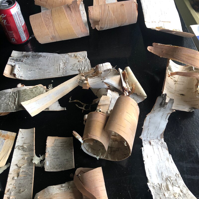 Birch Bark Strips - Etsy