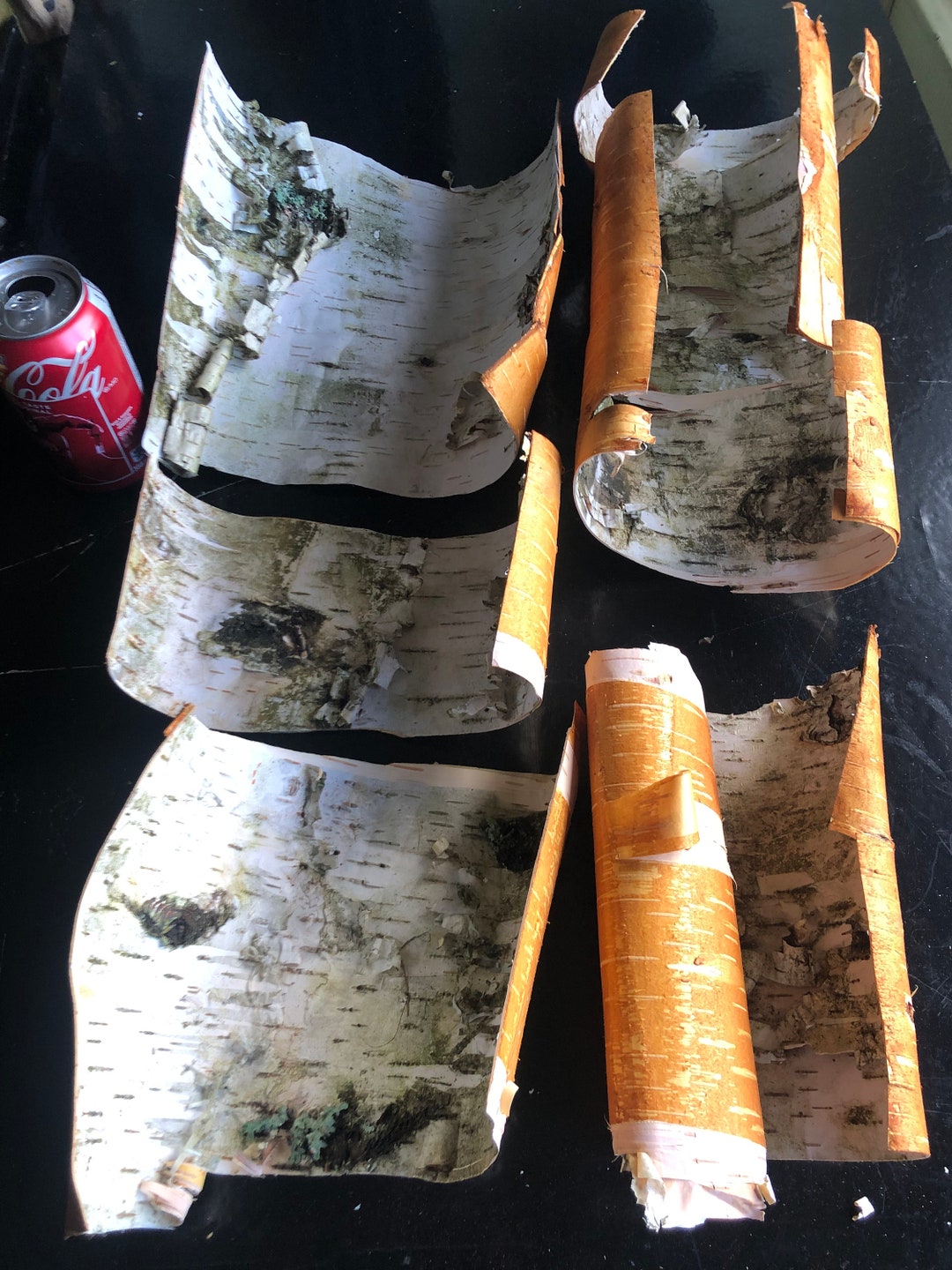 Birch Bark Thick Rustic Strips Craft Supplies - Etsy