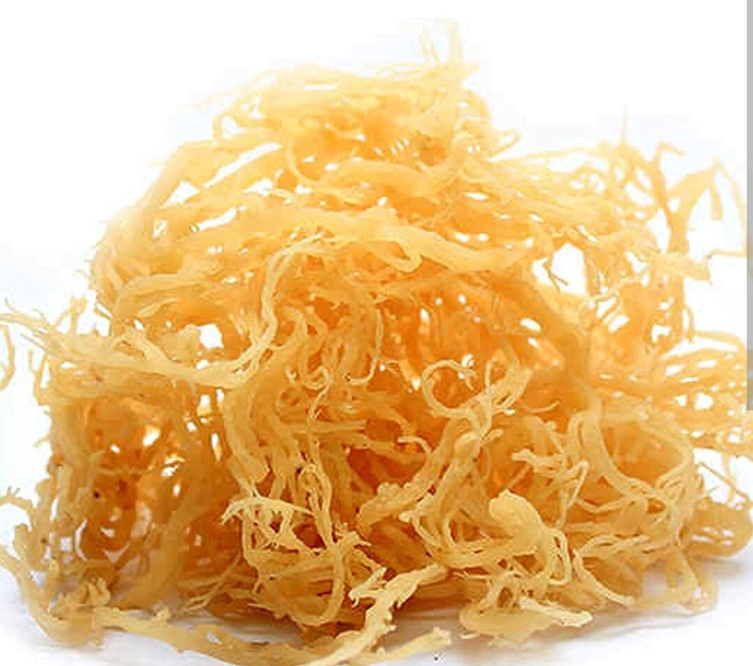 RAW Sea Moss - Etsy