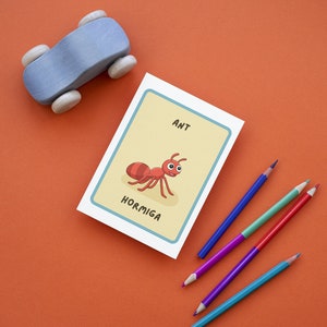 49 BILINGUAL ANIMAL Flash Cards - English & Spanish Alphabet Learning ...