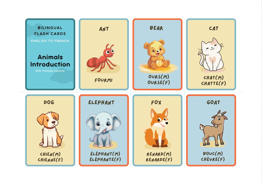 49 BILINGUAL ANIMAL Flash Cards - English & French Alphabet Learning ...