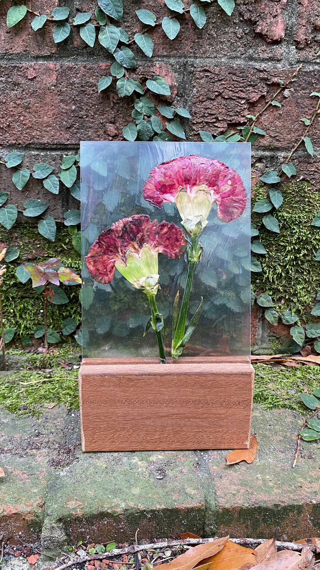 Pressed Carnations Acrylic Art With Yellow Balau Wooden Stand - Etsy