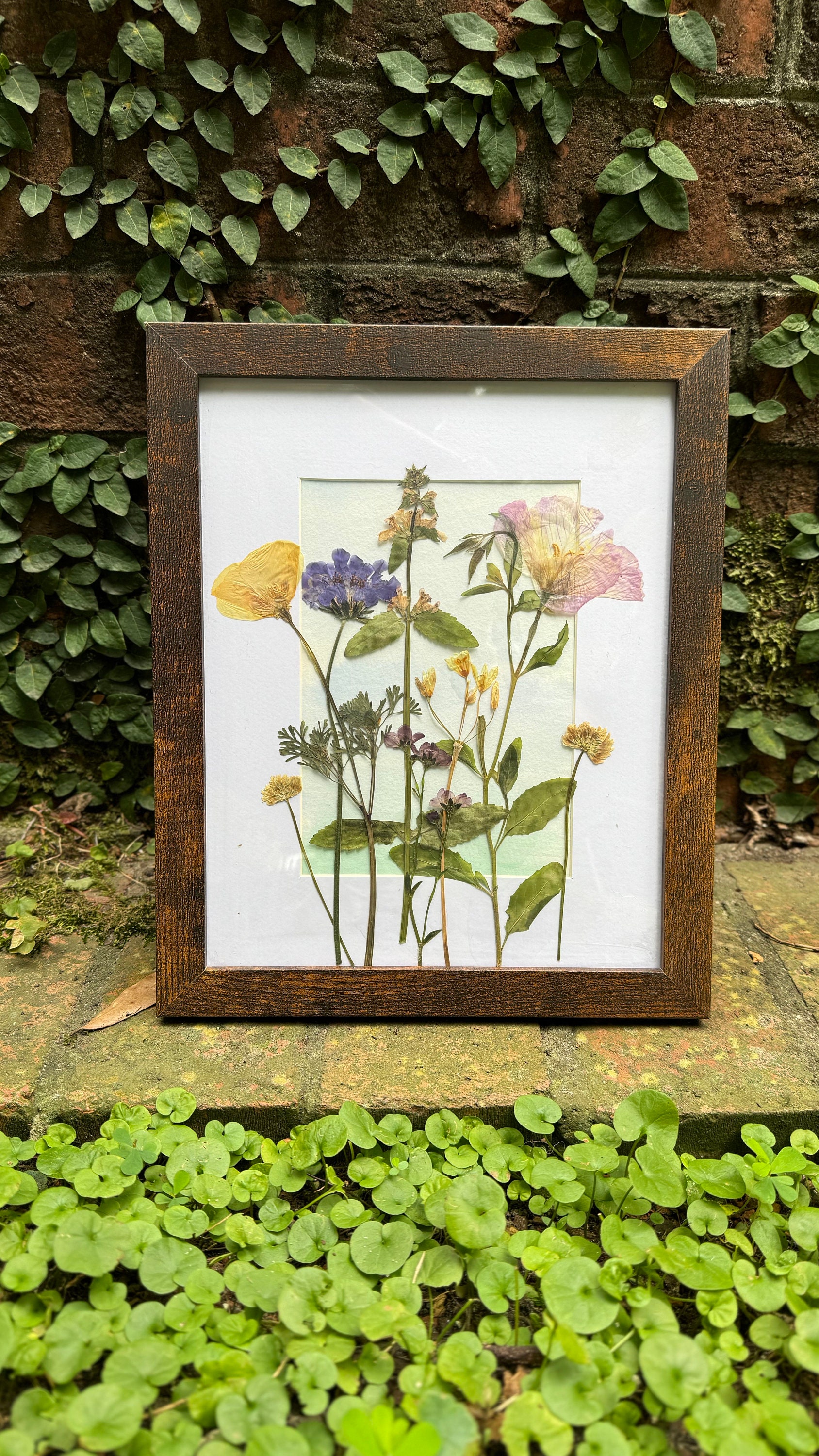 Pressed Wildflower Frame With Watercolor Background - Etsy