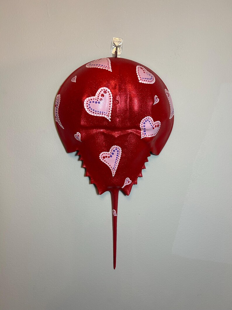 Horseshoe Crab; Beach, Decoration; Cape Cod; Valentine's Day; Gift ...