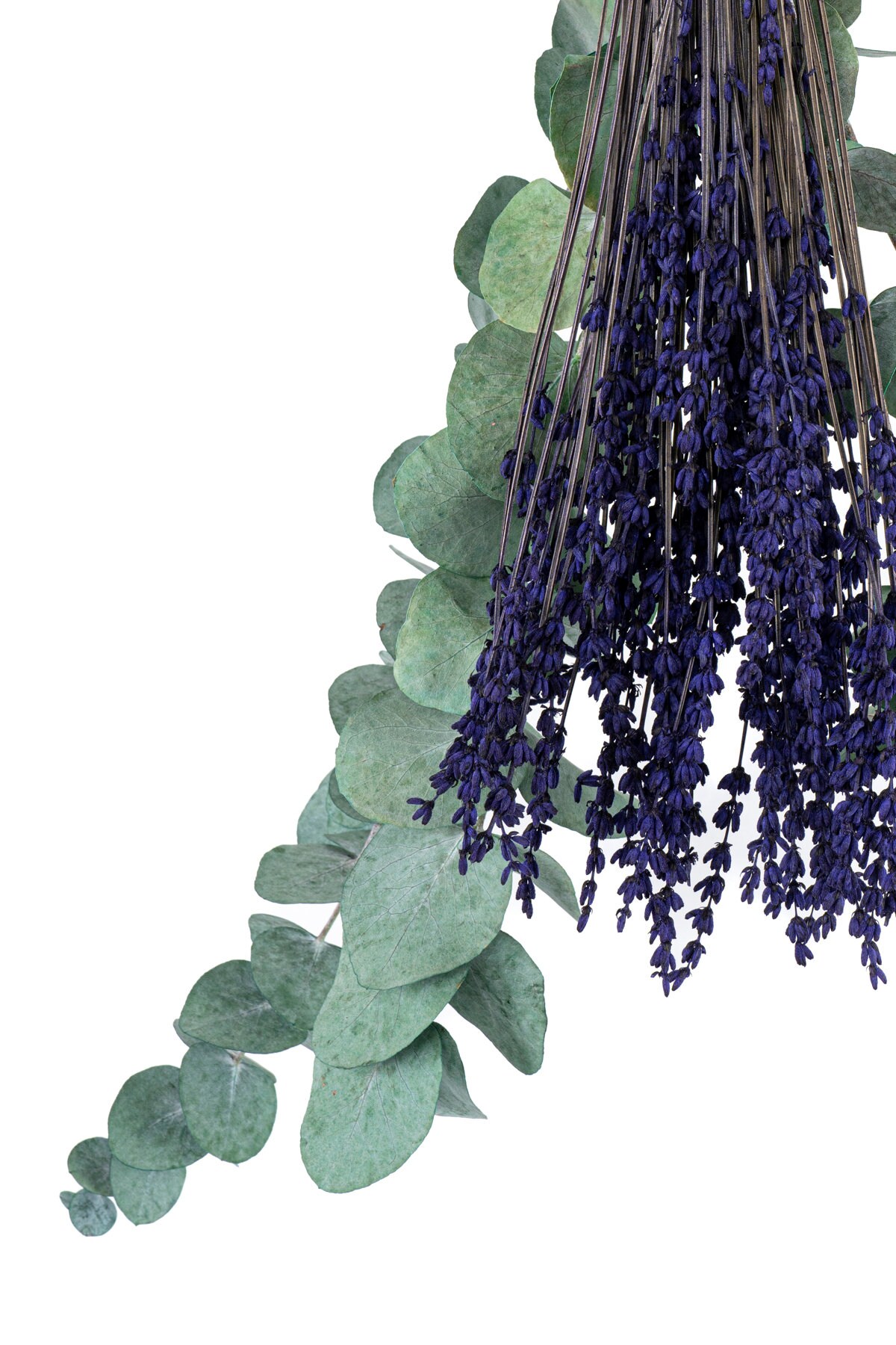 Small Eucalyptus Shower Bundle - Eucalyptus Lavender - Preserved Blue ...