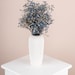 Preserved Dark Blue Gypsophila Flowers - Dried Flowers Wholesale ...