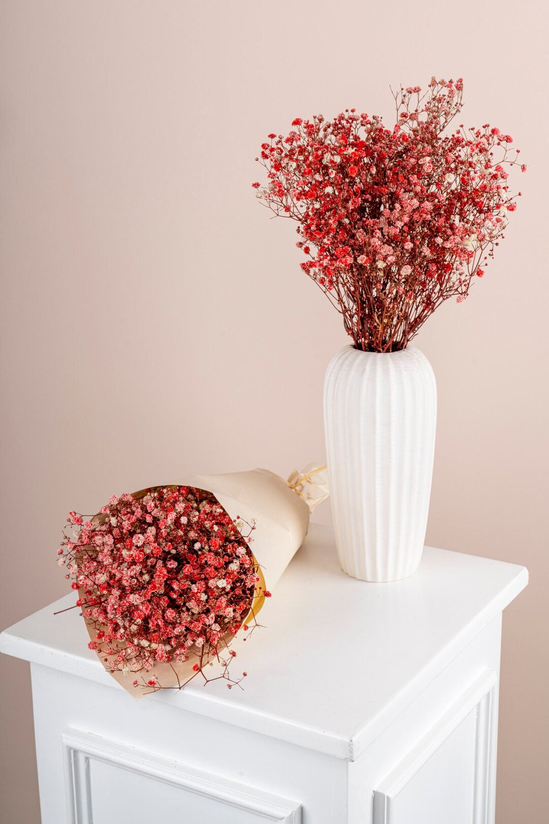 Preserved Red Baby's Breath - Gypsophila - Dried Flowers Wholesale - Etsy