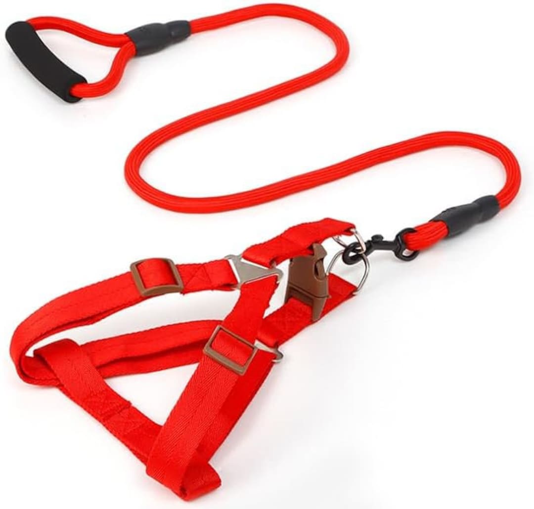 Dog Leash Harness Set 2-in-1,walk No-pull Dog Harness Take Control ...