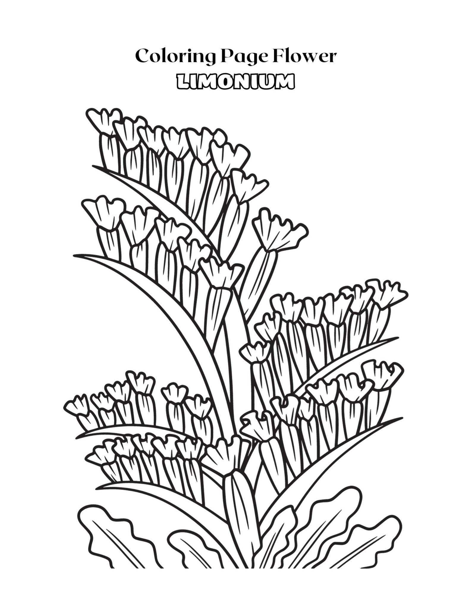 10 + Adult Flower Coloring Pages. Adult Coloring Book, Digital Prints ...