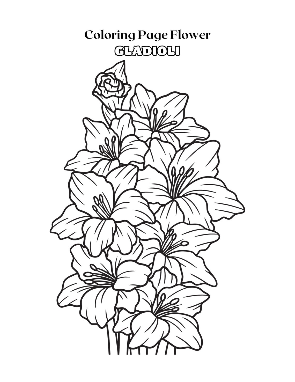 10 + Adult Flower Coloring Pages. Adult Coloring Book, Digital Prints ...