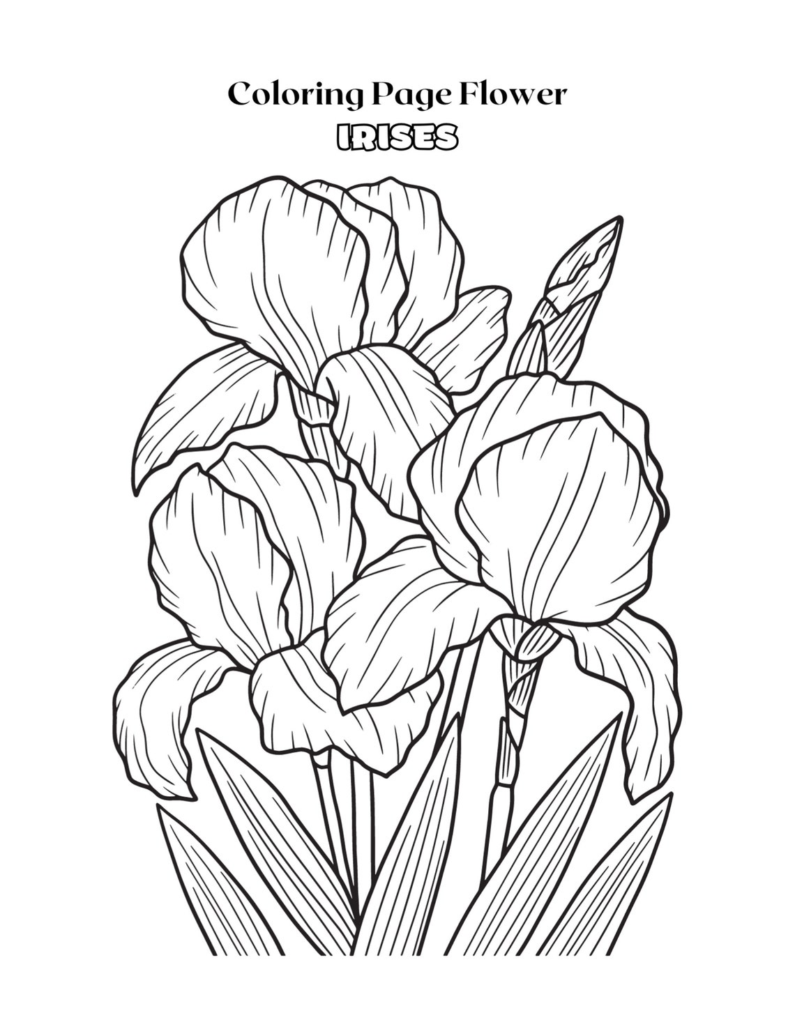 10 + Adult Flower Coloring Pages. Adult Coloring Book, Digital Prints ...