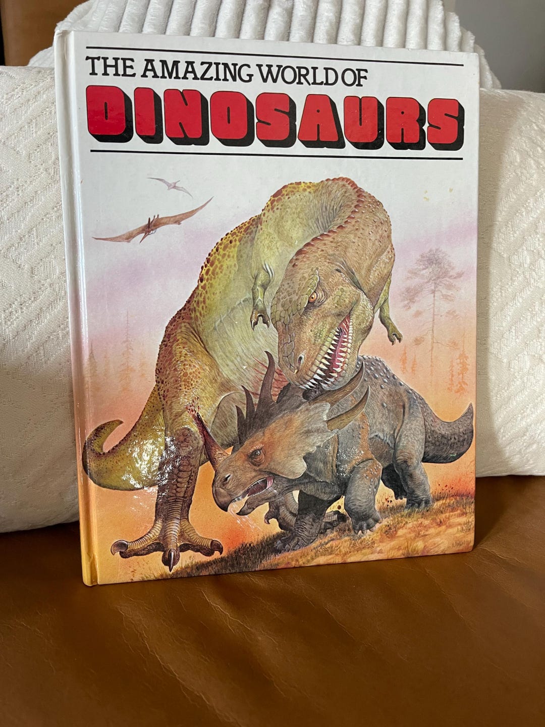The Amazing World of Dinosaurs - Riley - Hardcover (1981) - Rare - Etsy