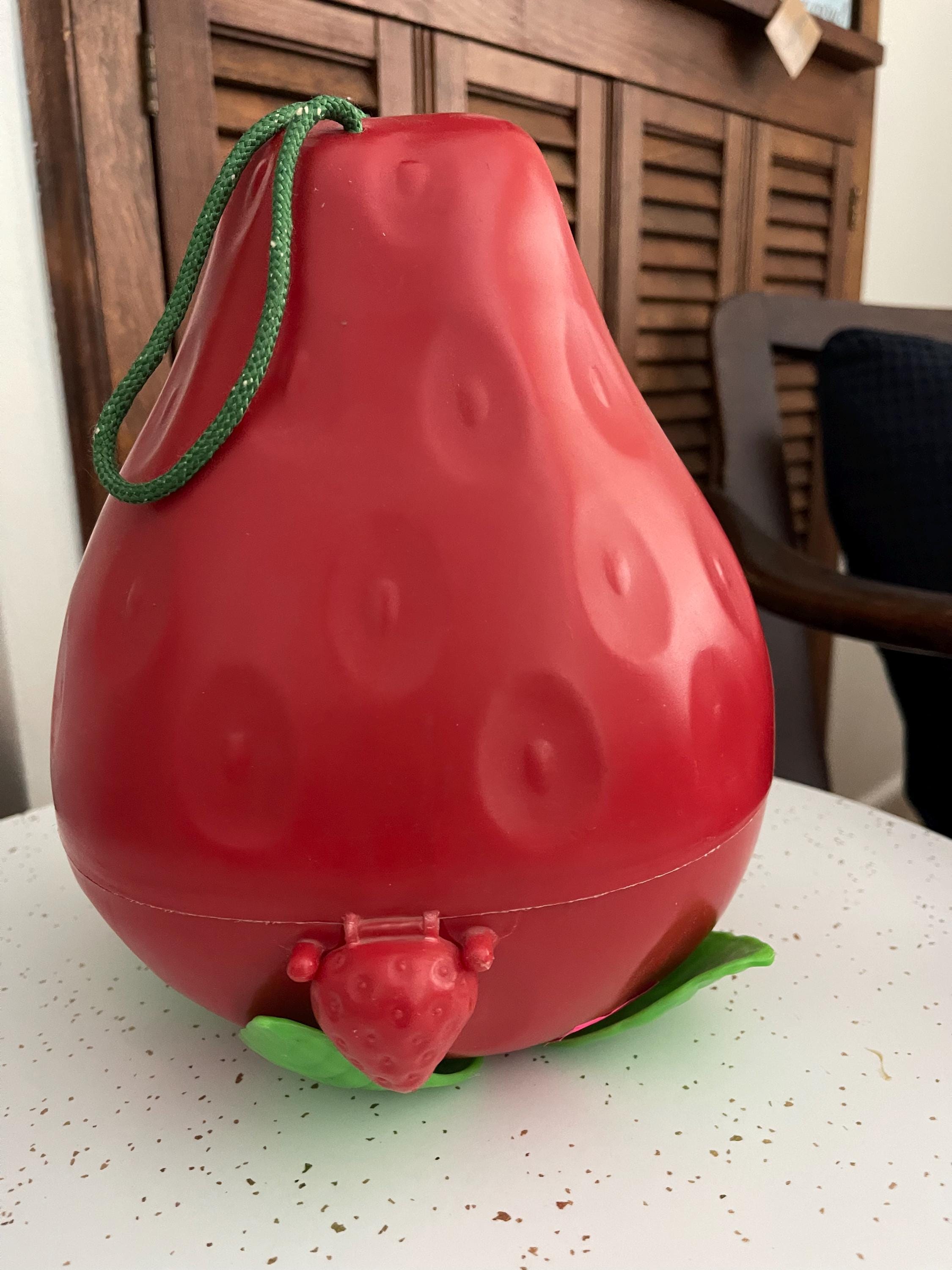 Plastic Strawberry Shortcake - Strawberry-shaped Carrying Case With 3 ...