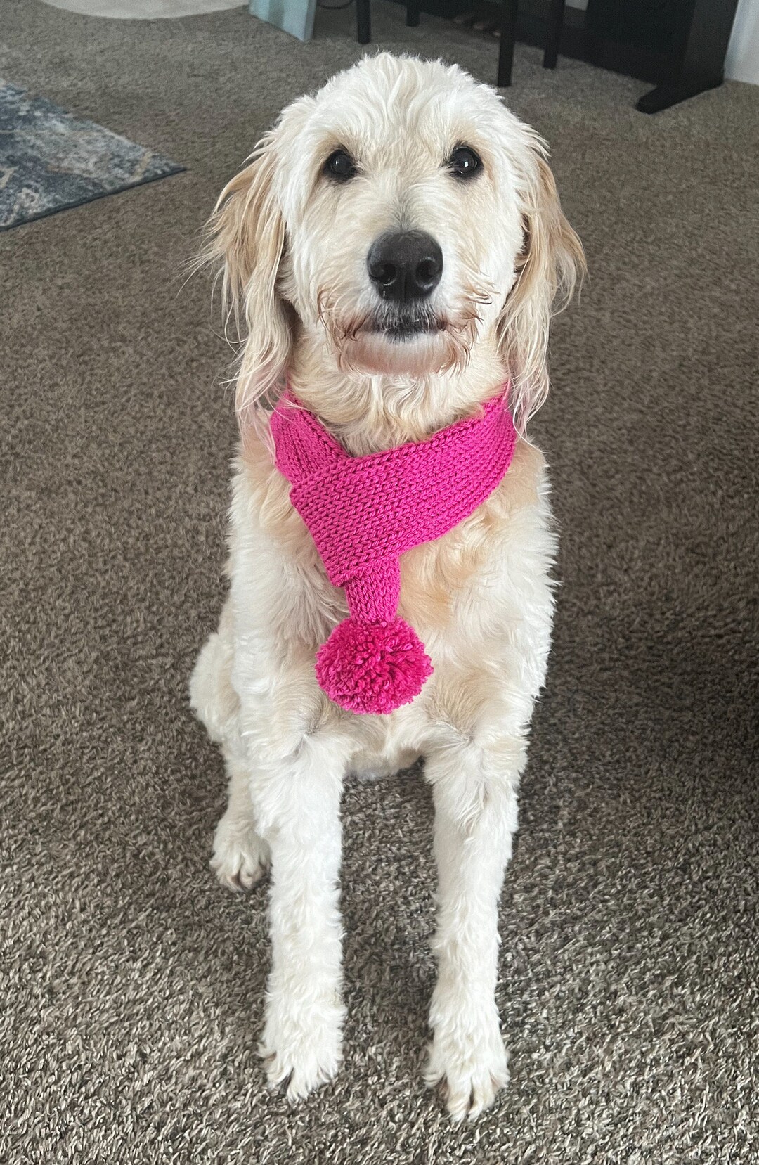 Knitted Dog Scarf | Cozy Winter Dog Accessory | Pom-pom Dog Scarf ...