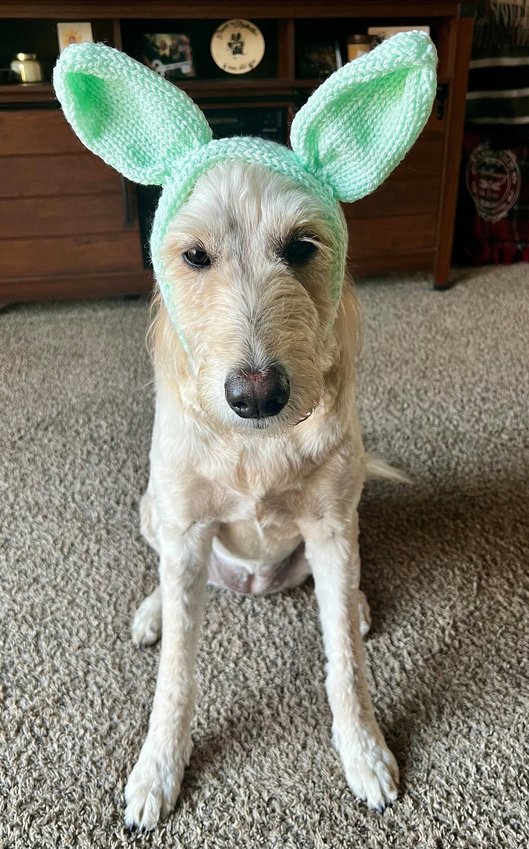 PATTERN Dog Easter Bunny Ears Snood Circular Knitting Machine PATTERN ...