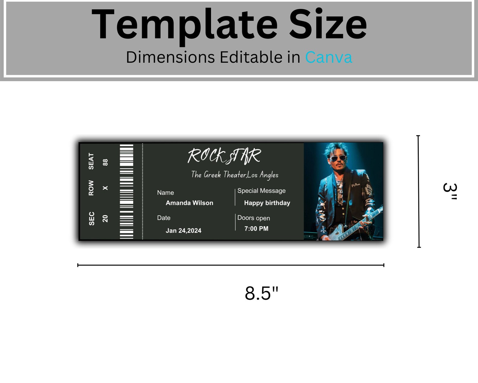 Editable Concert Ticket Template, DIY Event Ticket, Custom Concert ...