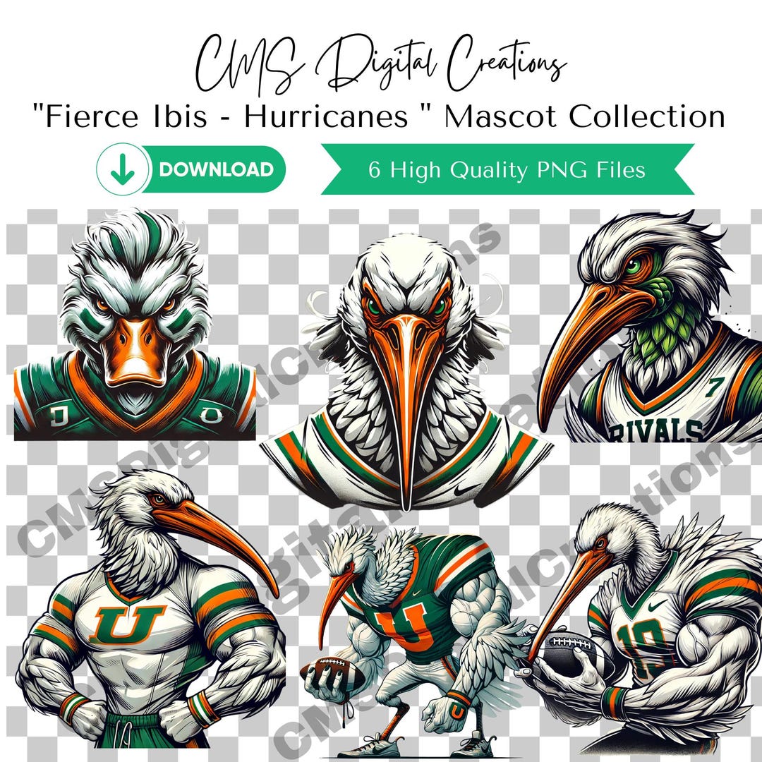 Fierce Ibis Clipart Bundle | Ibis Bird | Wildlife Art | Bird Clipart | Hurricanes Mascot Png ...