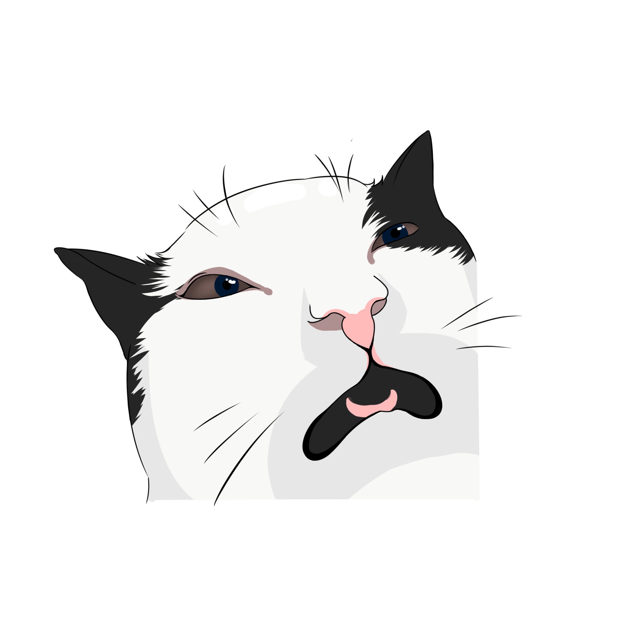 Grappigste Dierenmeme Ooit Dit Zijn De Grappigste Dierenfoto's Van
