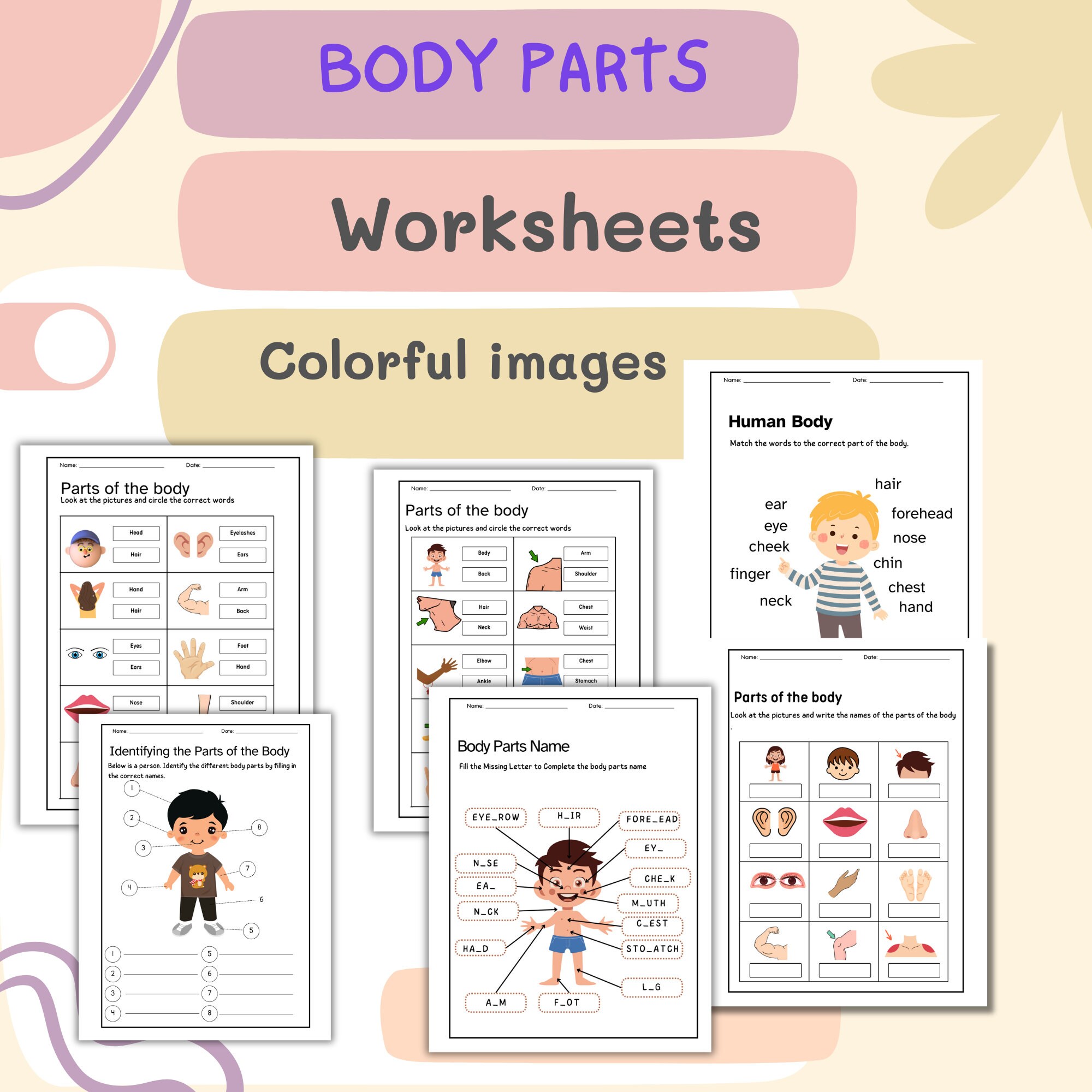 Body Parts Printable Activity Worksheets Flashcards Posters Parts of ...