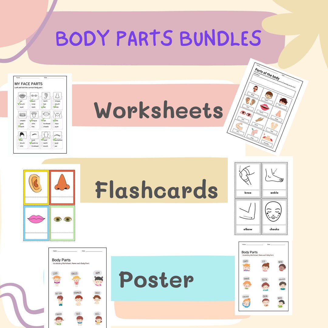 Body Parts Printable Activity Worksheets Flashcards Posters Parts of ...