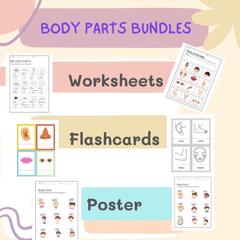 Body Parts Printable Activity Worksheets Flashcards Posters Parts of ...