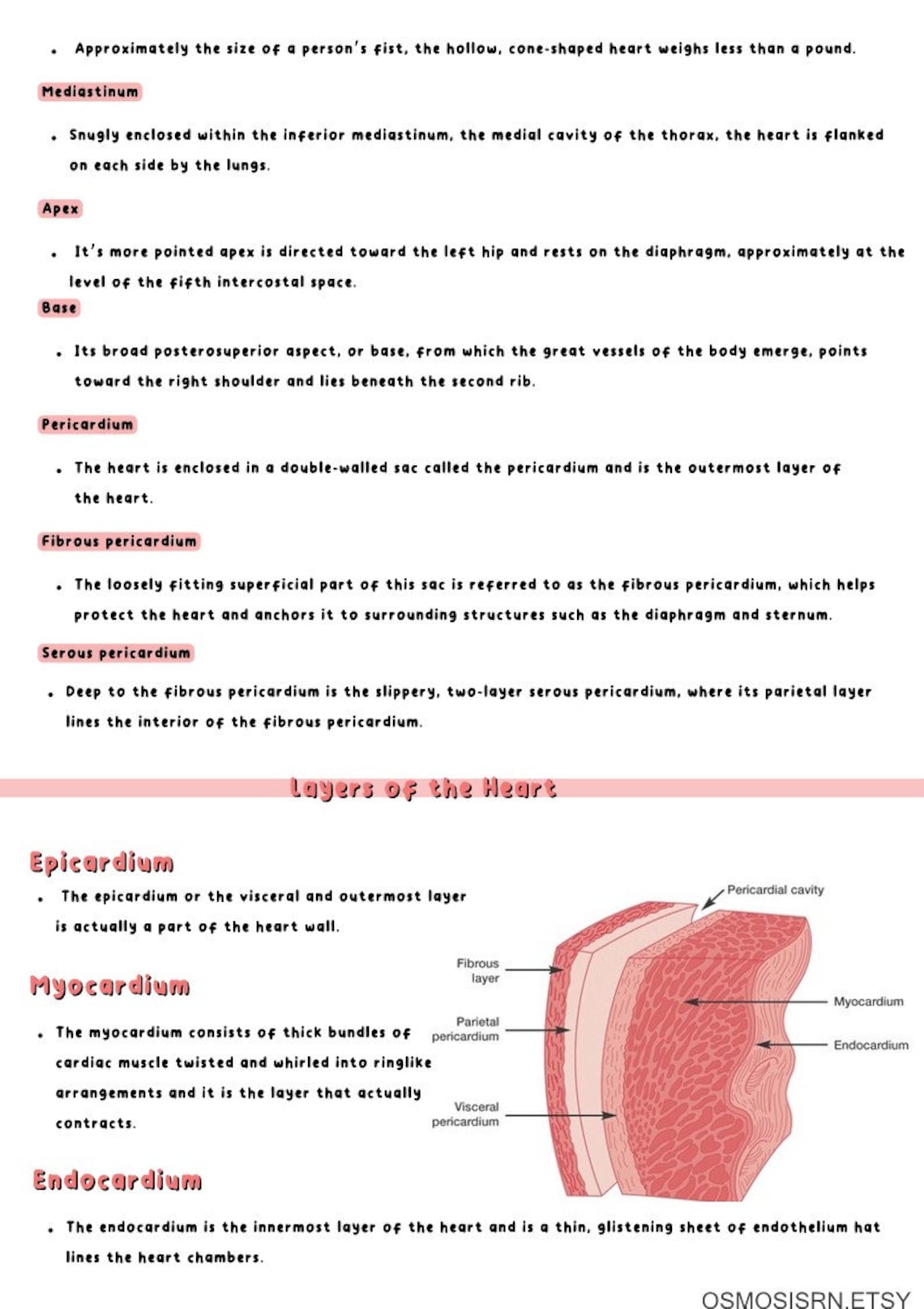 Anatomy and Physiology Notes L Anatomy Study Guide L Physiology Study ...