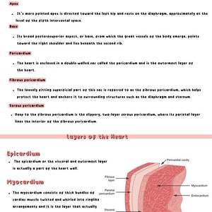 Anatomy and Physiology Notes L Anatomy Study Guide L Physiology Study ...
