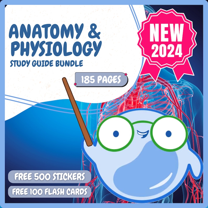Anatomy and Physiology Notes L Anatomy Study Guide L Physiology Study ...