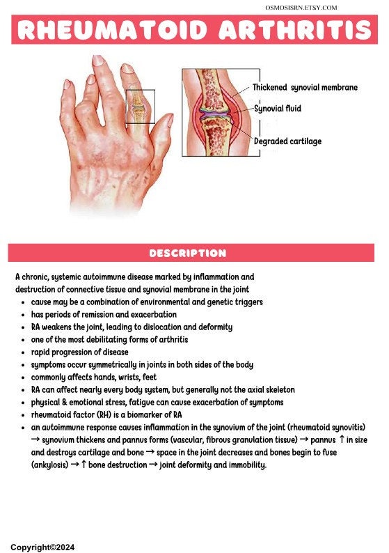 Medsurg Study Bundle, Medical Surgical Nursing Notes, Medsurg Study ...