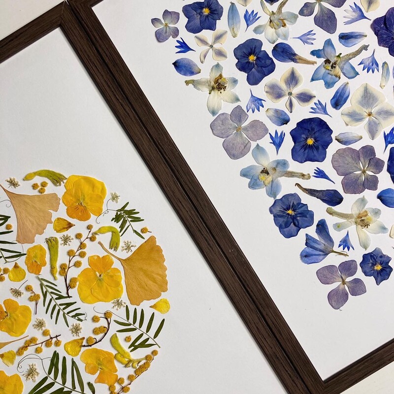 Herbarium Frame - Etsy