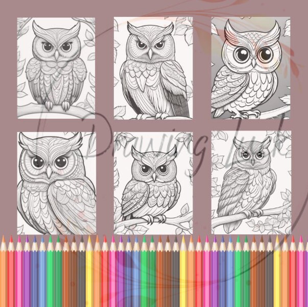 6 Owl Coloring Pages Relaxing Owl Patterns Owl-themed Stress Relief Owl ...
