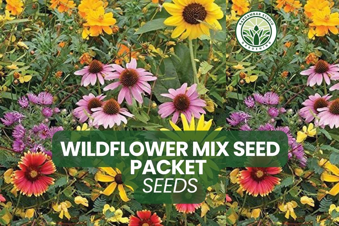 Wildflower Mix Seed Packet – Colorful Annual & Perennial Blend ...