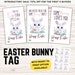 EDITABLE Easter Bunny Treats Tag, Easter Egg Hunt Treats for Kids, DIY ...