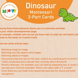 8 Dinosaur 3-part Cards Montessori, Montessori Activity, Dinosaur ...