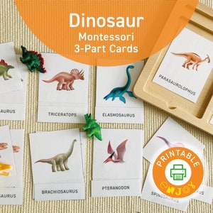 Dinosaur Montessori 3-part Cards Preschool Printables Dinosaur ...