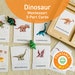 Montessori Alphabet Flash Cards | Montessori Alphabet Letters ...
